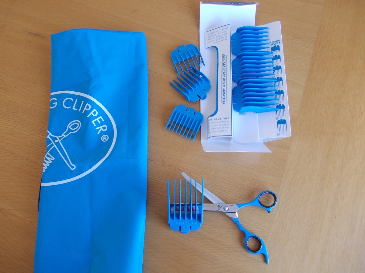 “Calming Clippers” – Ordinary Hopes